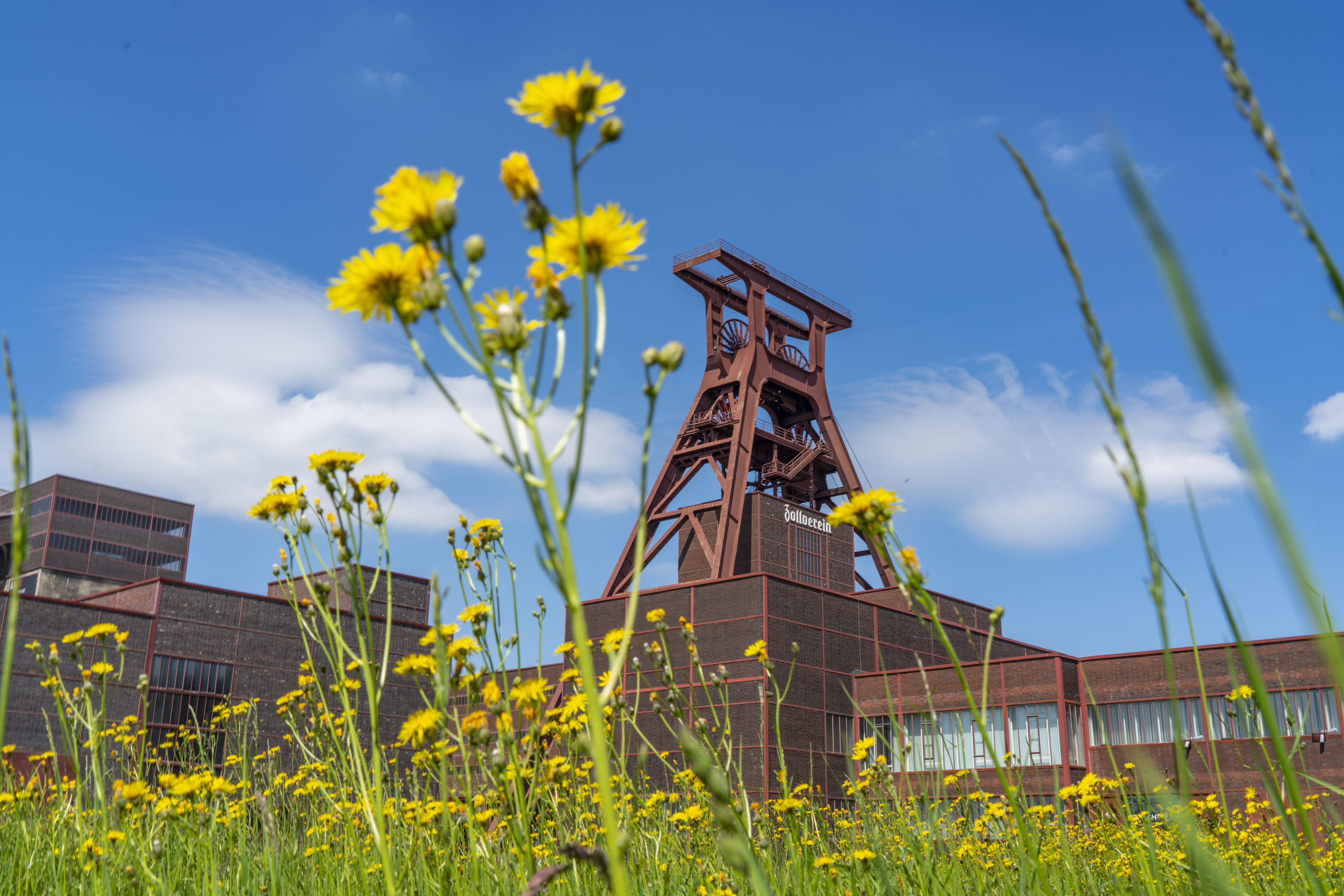 Visit Essen - Experience Essen