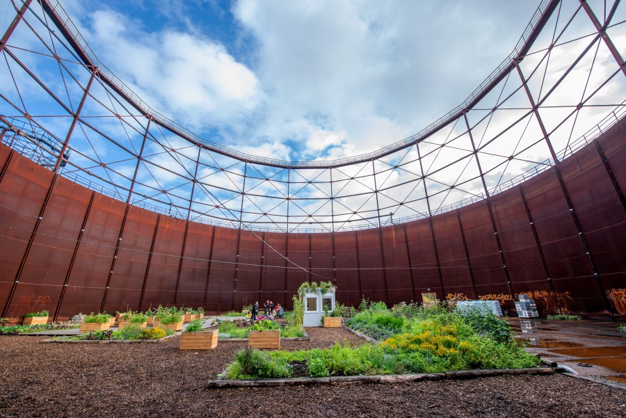 Thomas Kufen besucht Urban Gardening Lab auf Zollverein - essen.de